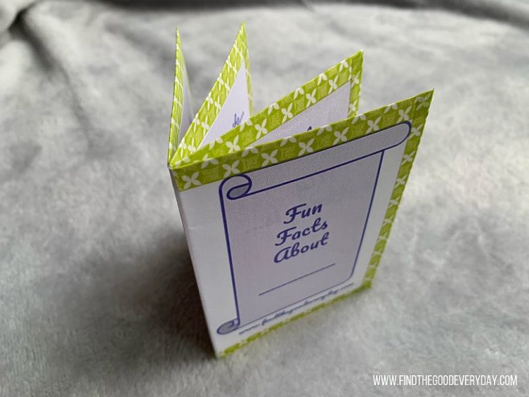 Creating a Mini-Book Using 1 Sheet Of Paper - The Reading Residence